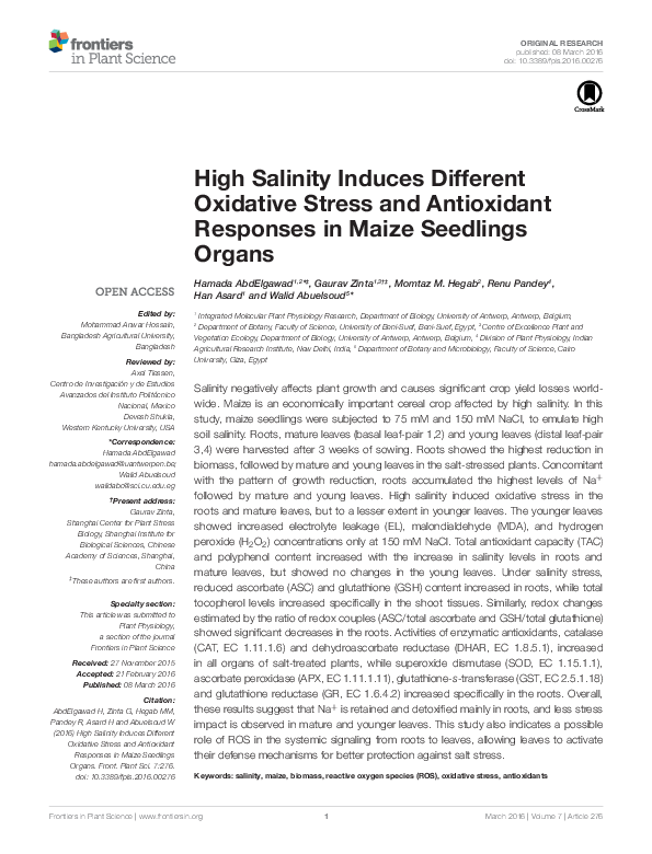 (PDF) High Salinity Induces Different Oxidative Stress and Antioxidant Responses in Maize ...