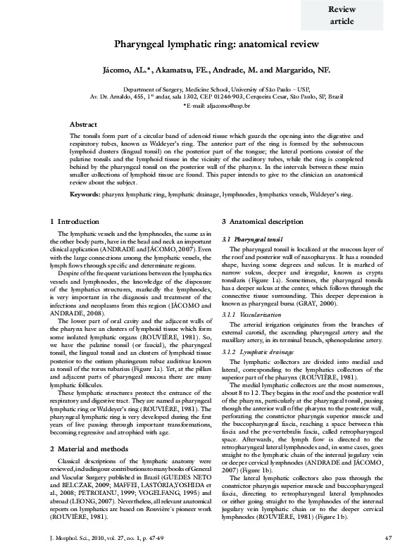 (PDF) Pharyngeal lymphatic ring: anatomical review