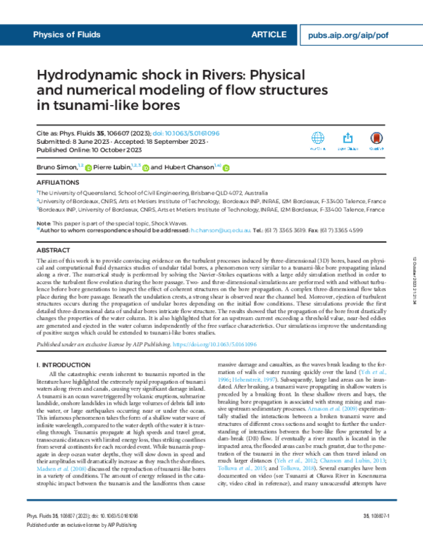 (PDF) Hydrodynamic shock in Rivers: Physical and numerical modeling of flow structures in ...
