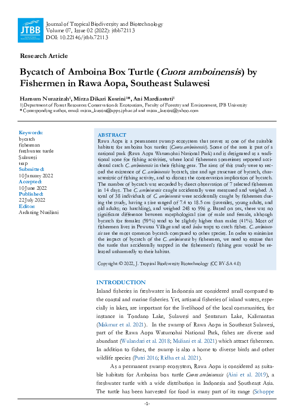 (PDF) Bycatch of Amboina Box Turtle ( Cuora amboinensis ) by Fishermen ...