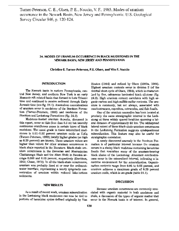(PDF) 24. Modes of Uranium Occurrence in Black Mudstones in the Newark ...