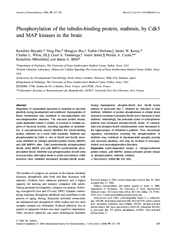 (PDF) Phosphorylation of the tubulin-binding protein, stathmin, by Cdk5 ...