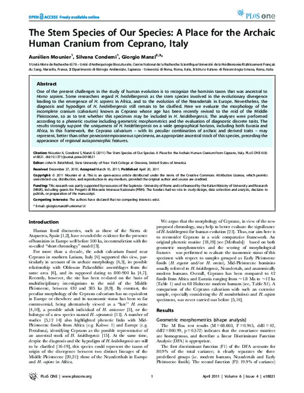 (PDF) The Stem Species of Our Species: A Place for the Archaic Human ...