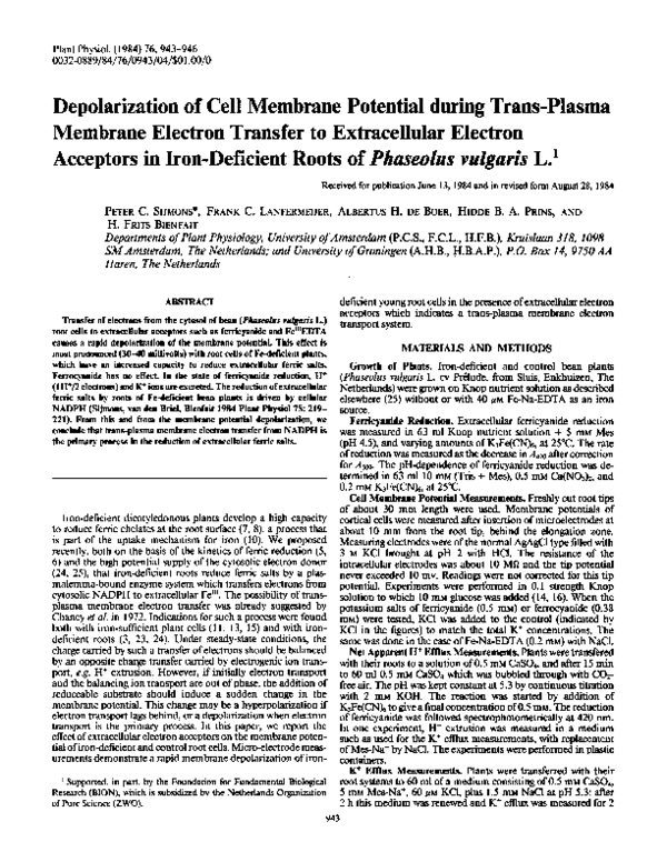 (PDF) Depolarization of Cell Membrane Potential during Trans-Plasma Membrane Electron Transfer ...