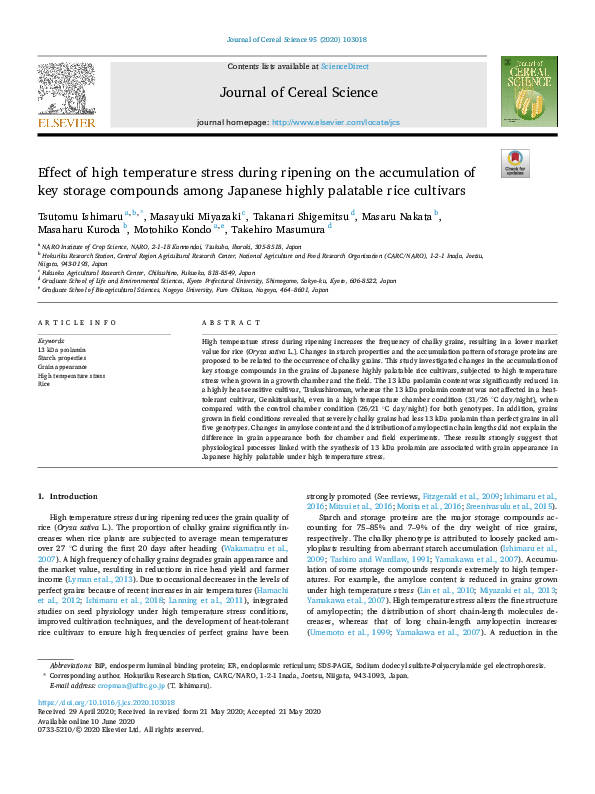 (PDF) Effect of high temperature stress during ripening on the ...