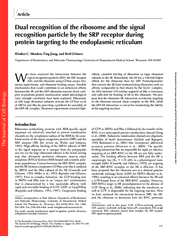 (PDF) Dual recognition of the ribosome and the signal recognition particle by the SRP receptor ...