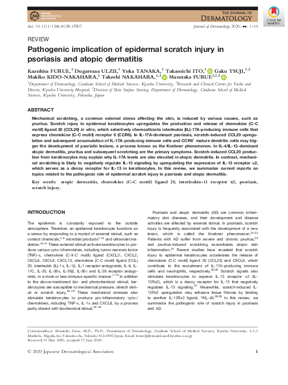 (PDF) Pathogenic implication of epidermal scratch injury in psoriasis ...