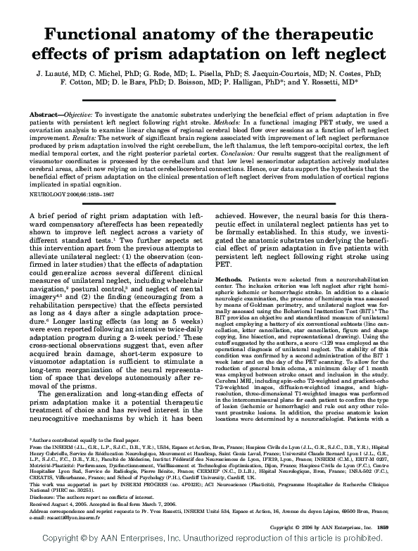 (PDF) Functional anatomy of the therapeutic effects of prism adaptation on left neglect
