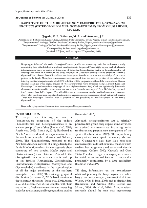 (PDF) Karyotype of the african weakly electric fish, Gymnarchus ...