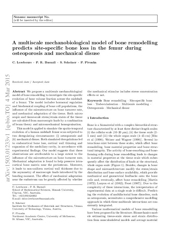 (PDF) A multiscale mechanobiological model of bone remodelling predicts site-specific bone loss ...