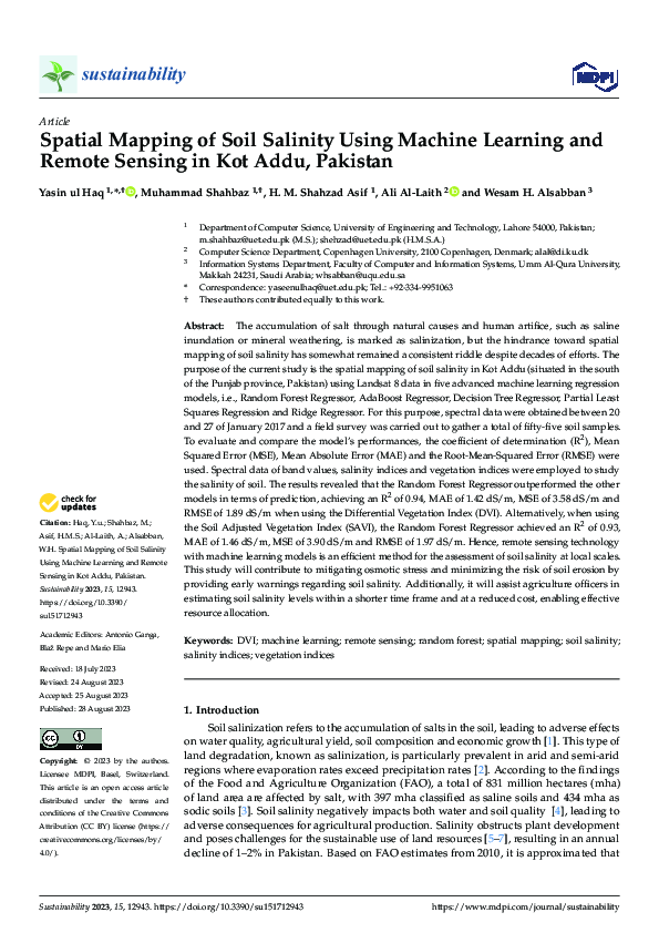 (PDF) Spatial Mapping of Soil Salinity Using Machine Learning and Remote Sensing in Kot Addu ...