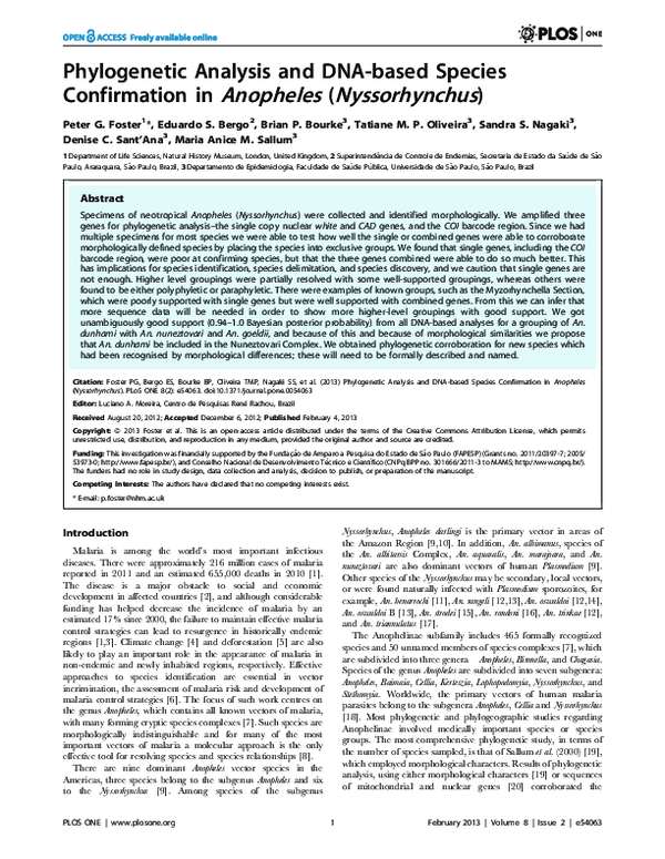 (PDF) Phylogenetic Analysis and DNA-based Species Confirmation in Anopheles (Nyssorhynchus)