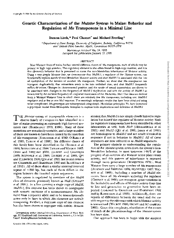 Pdf Genetic Characterization Of The Mutator System In Maize Behavior