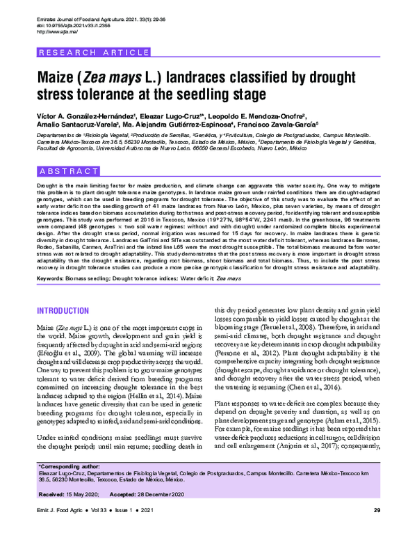 (PDF) Maize (Zea mays L.) landraces classified by drought stress tolerance at the seedling stage