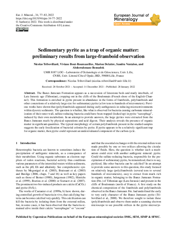 (PDF) Sedimentary pyrite as a trap of organic matter: preliminary ...