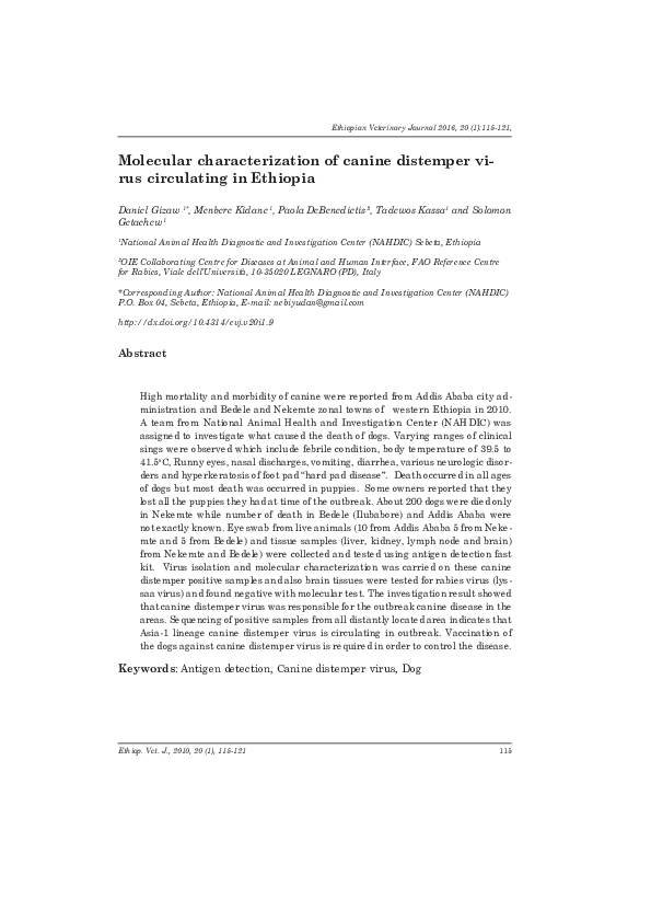 (PDF) Molecular characterization of canine distemper virus circulating ...