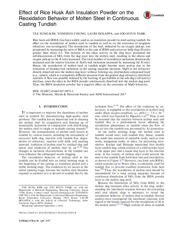 (PDF) Effect of Rice Husk Ash Insulation Powder on the Reoxidation ...