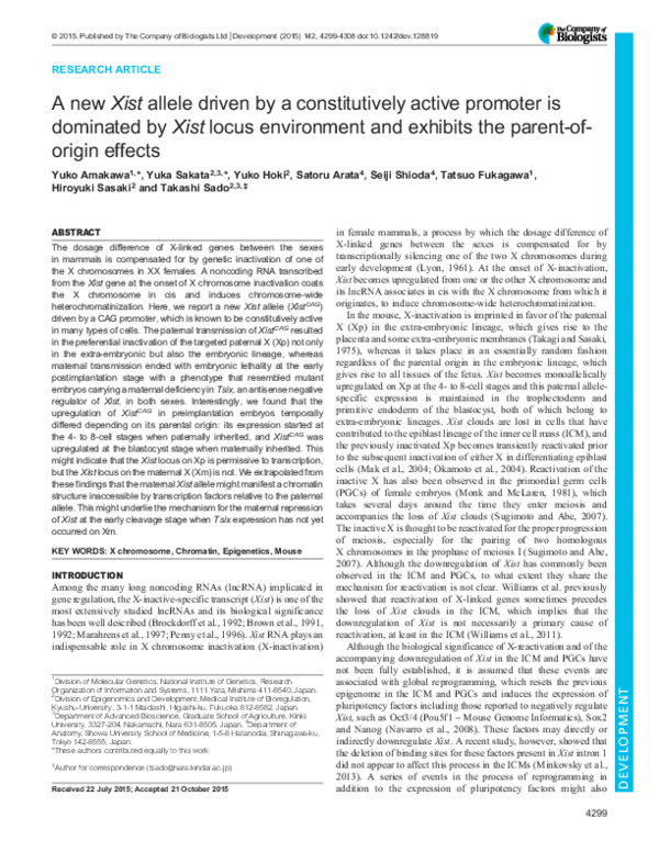 (PDF) A new Xist allele driven by a constitutively active promoter is ...