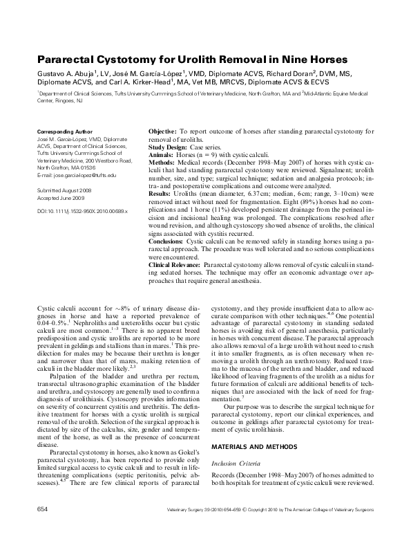 (PDF) Pararectal Cystotomy for Urolith Removal in Nine Horses