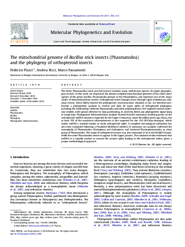 (PDF) The mitochondrial genome of Bacillus stick insects (Phasmatodea ...