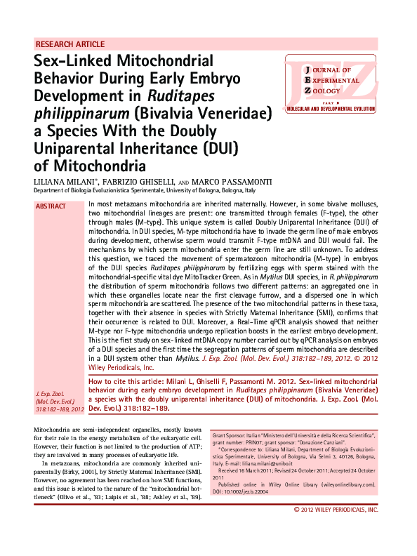 (PDF) Sex-Linked Mitochondrial Behavior During Early Embryo Development ...