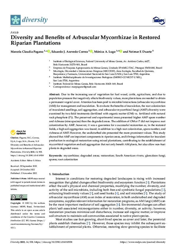 (PDF) Diversity and Benefits of Arbuscular Mycorrhizae in Restored Riparian Plantations ...