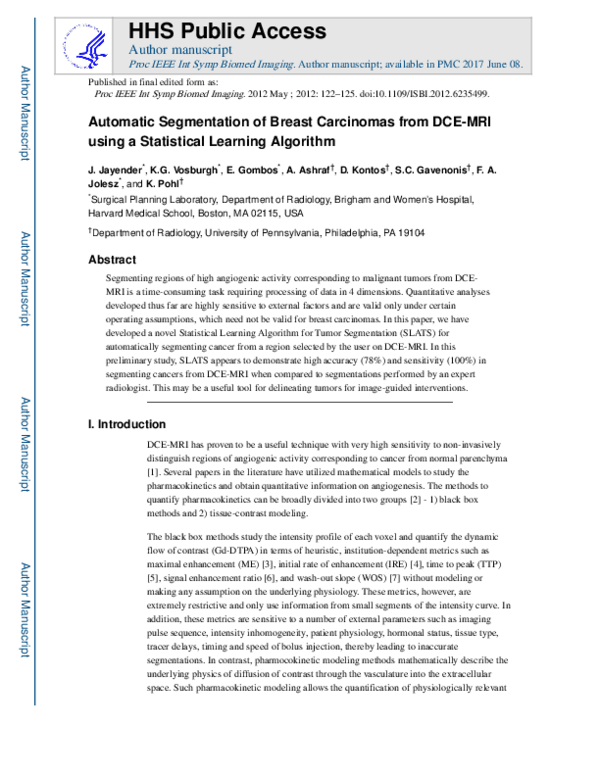 (PDF) Automatic segmentation of breast carcinomas from DCE-MRI using a Statistical Learning ...