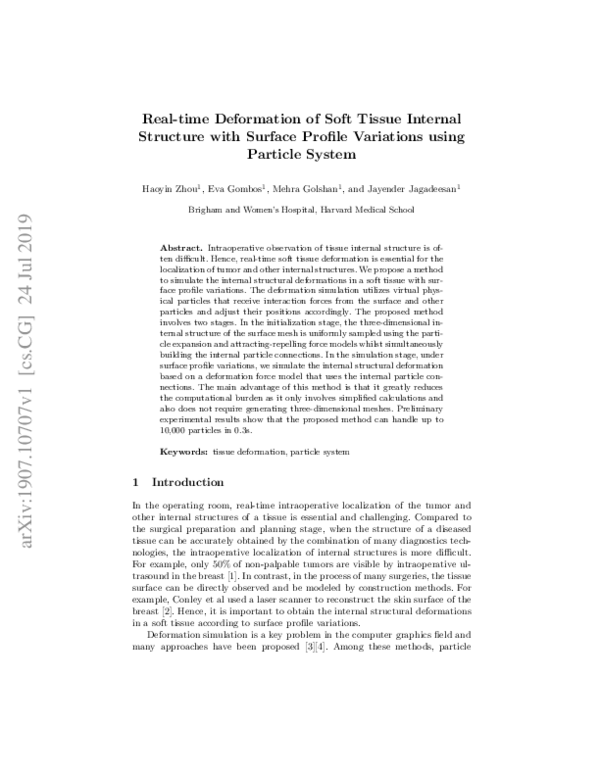 (PDF) Real-time Deformation of Soft Tissue Internal Structure with Surface Profile Variations ...