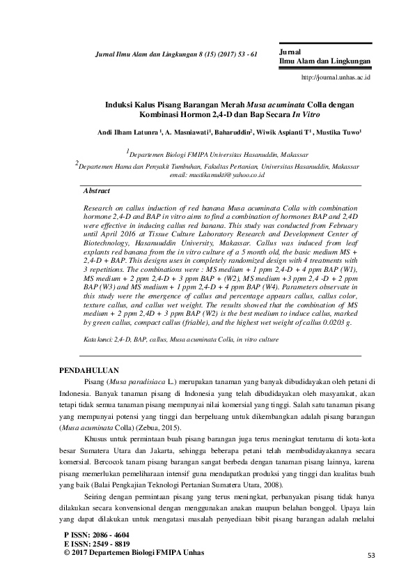 (PDF) Induksi Kalus Pisang Barangan Merah Musa acuminata Colla dengan ...