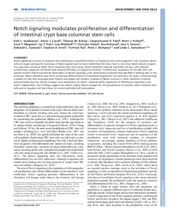 (PDF) Notch signaling modulates proliferation and differentiation of ...