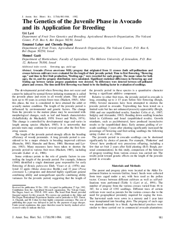 (PDF) The Genetics of the Juvenile Phase in Avocado and its Application ...