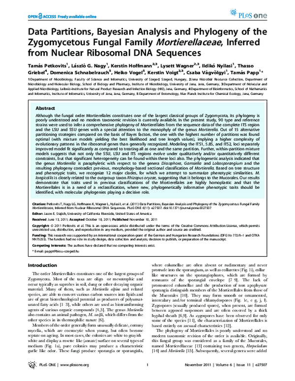(PDF) Data Partitions, Bayesian Analysis and Phylogeny of the Zygomycetous Fungal Family ...