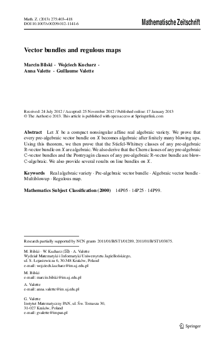 (PDF) Vector bundles and regulous maps