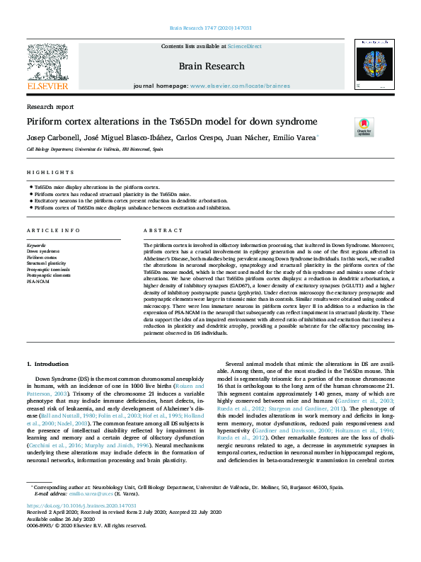(PDF) Piriform cortex alterations in the Ts65Dn model for down syndrome