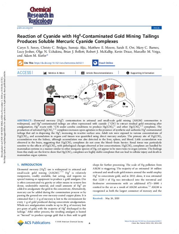 (PDF) Reaction of Cyanide with Hg0Contaminated Gold Mining Tailings ...