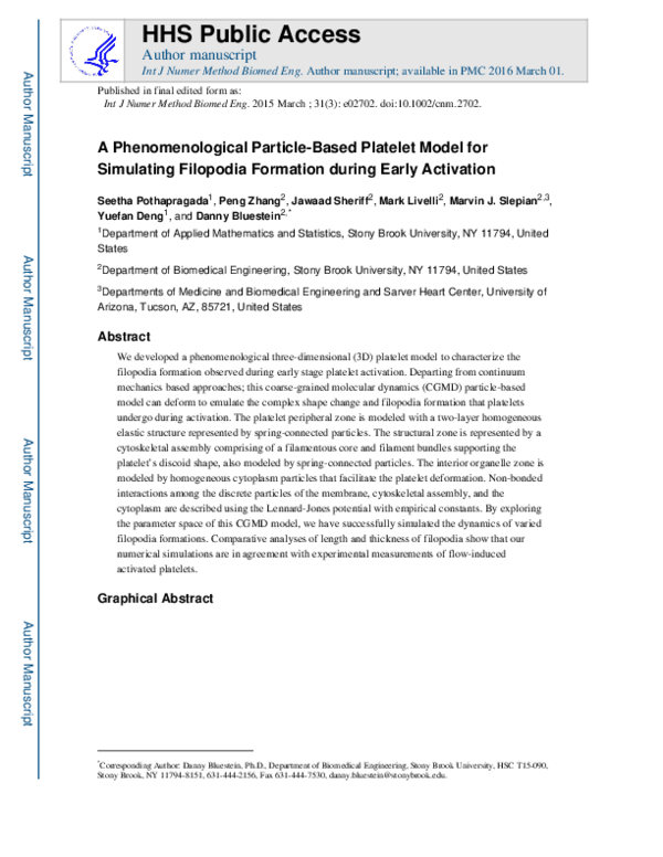 (PDF) A phenomenological particle-based platelet model for simulating ...