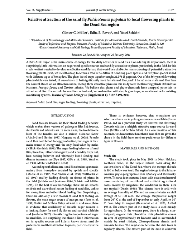 (PDF) Relative attraction of the sand fly Phlebotomus papatasi to local ...