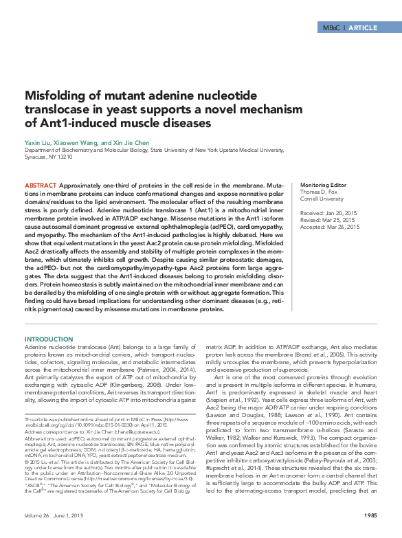 (PDF) Misfolding of Mutant Adenine Nucleotide Translocase in Yeast ...
