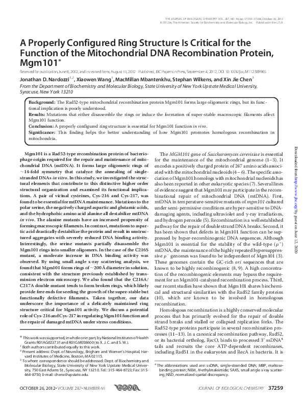 (PDF) A Properly Configured Ring Structure Is Critical for the Function ...