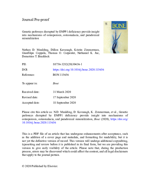 (PDF) Genetic pathways disrupted by ENPP1 deficiency provide insight ...