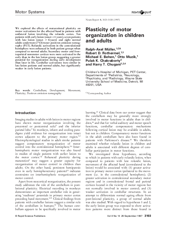 (PDF) Plasticity of motor organization in children and adults