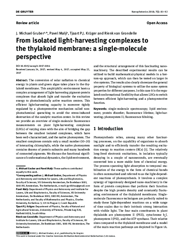 (PDF) From isolated light-harvesting complexes to the thylakoid ...