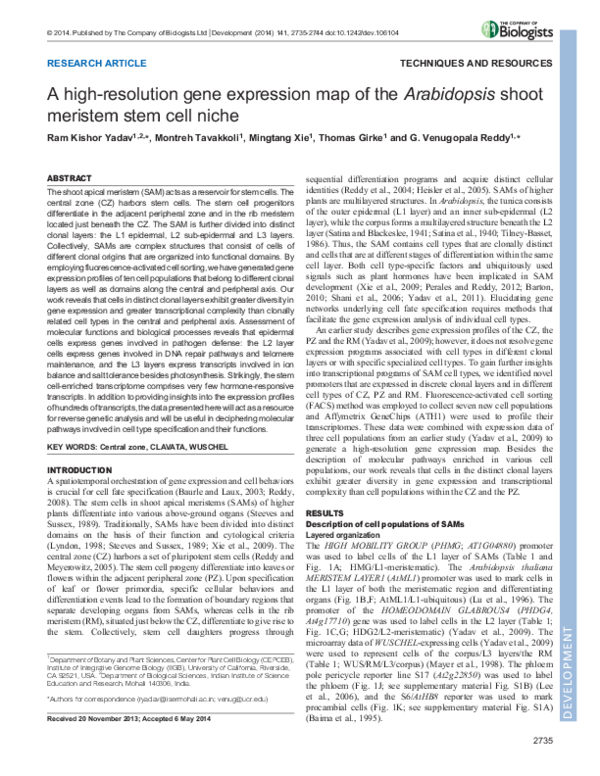 (PDF) A high-resolution gene expression map of the Arabidopsis shoot ...