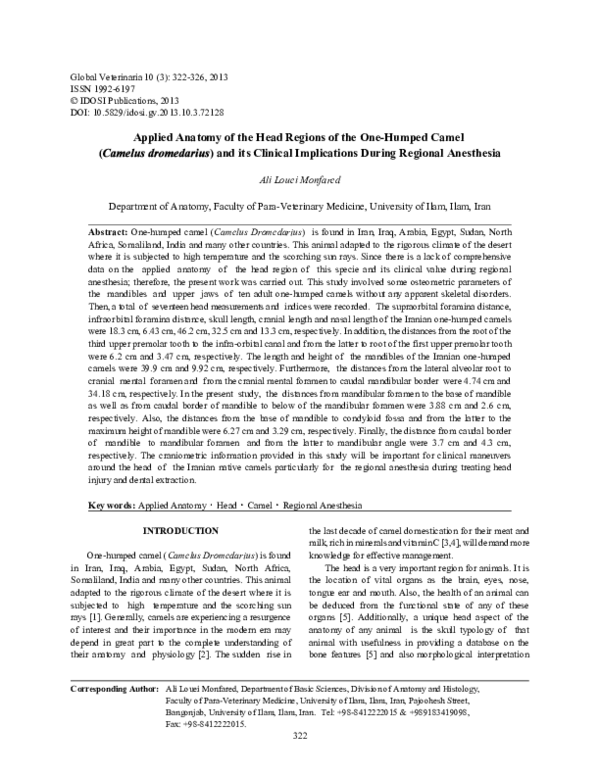 (PDF) Applied Anatomy of the Head Regions of the One-Humped Camel ...