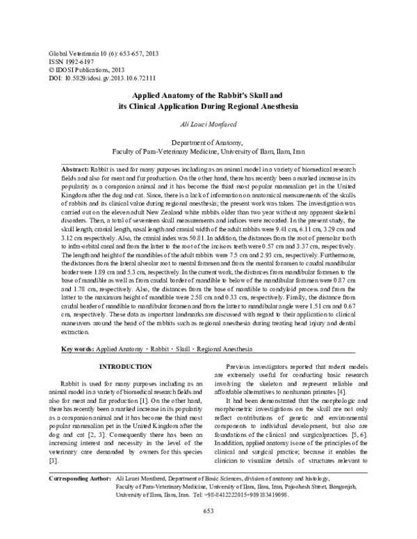 (PDF) Applied Anatomy of the Rabbit's Skull and its Clinical ...