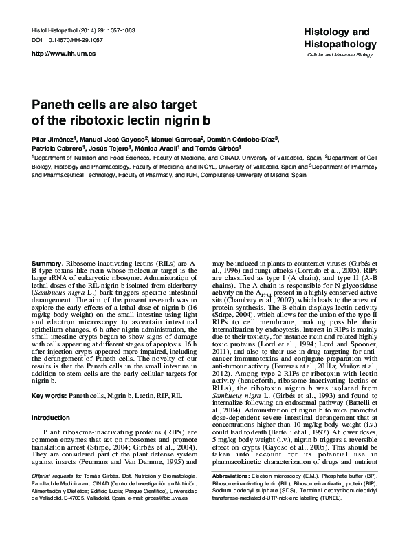 (PDF) Paneth cells are also target of the ribotoxic lectin nigrin b