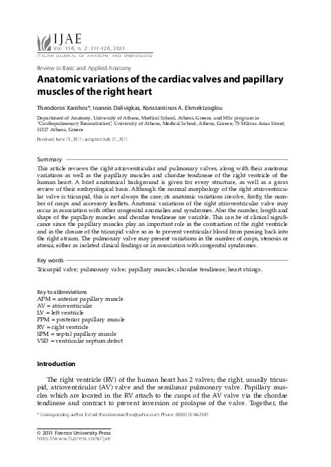 (PDF) Anatomic variations of the cardiac valves and papillary muscles ...