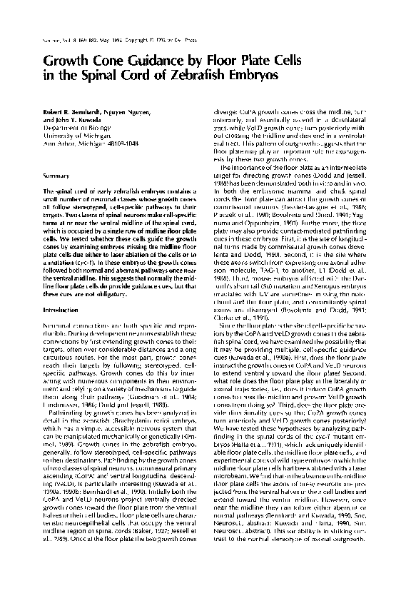 (PDF) Growth cone guidance by floor plate cells in the spinal cord of ...