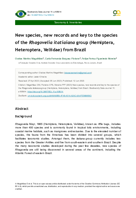 (PDF) New species, new records and key to the species of the Rhagovelia ...