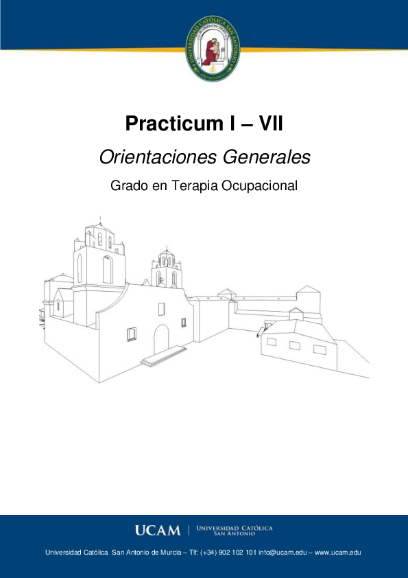 (PDF) Practicum I-VII Orientaciones Generales